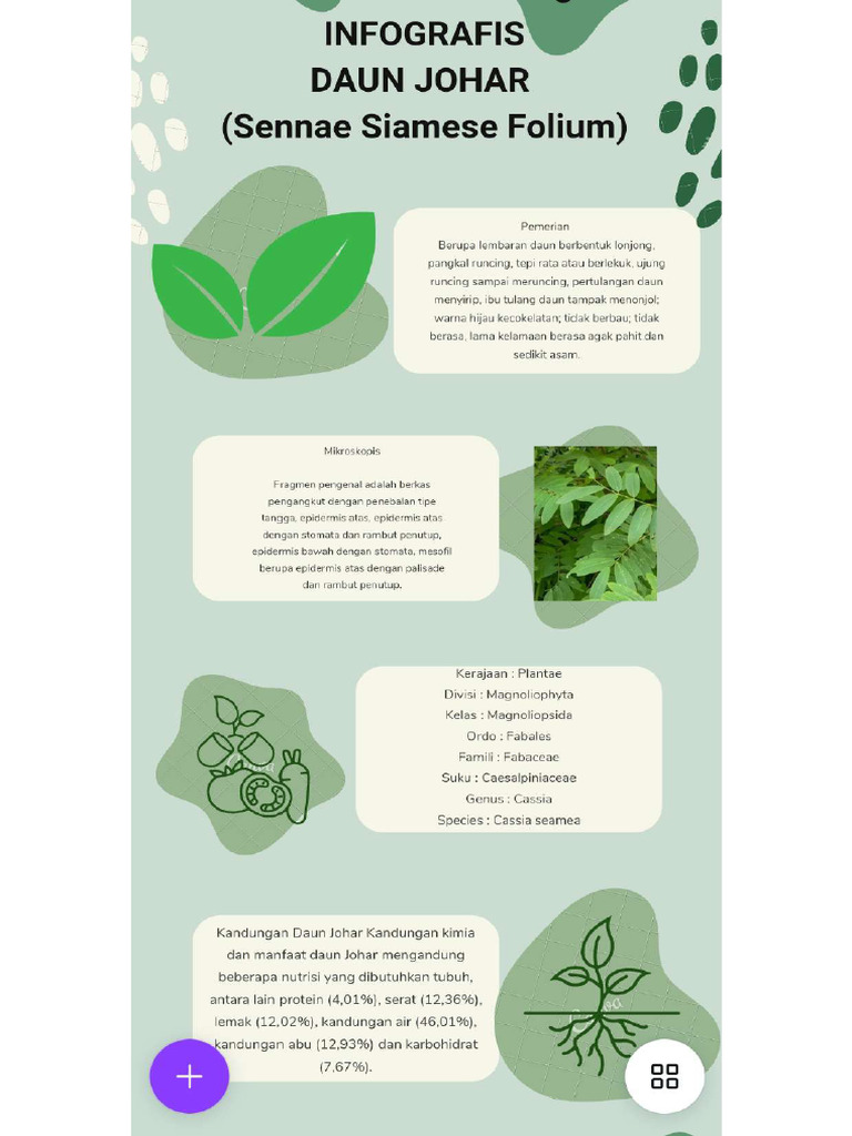 Infografis Daun Johar | PDF