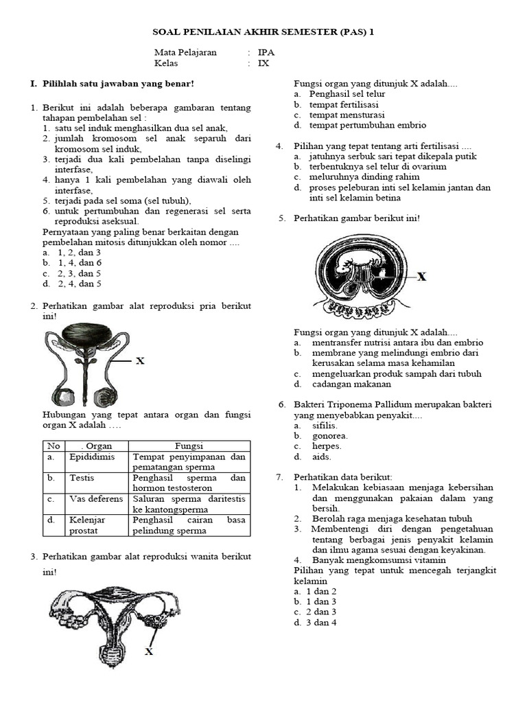 Soal PAS 1 Kelas 9 IPA | PDF