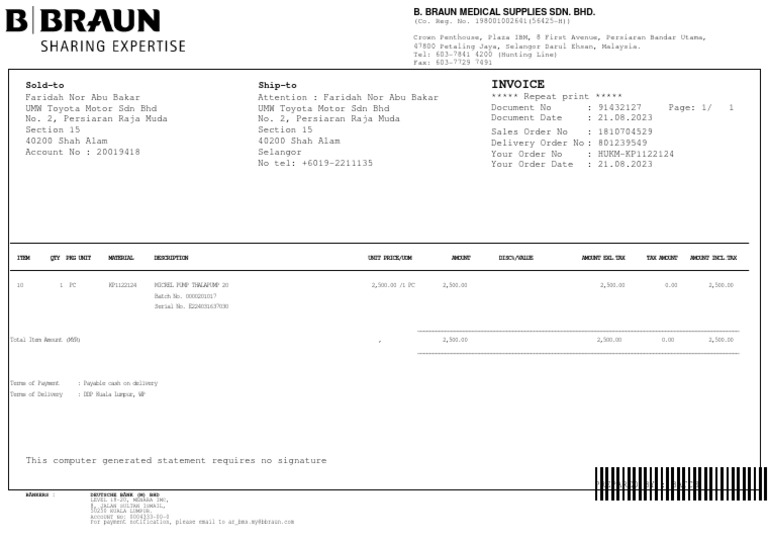 Invoice: Ship-To Sold-To | PDF