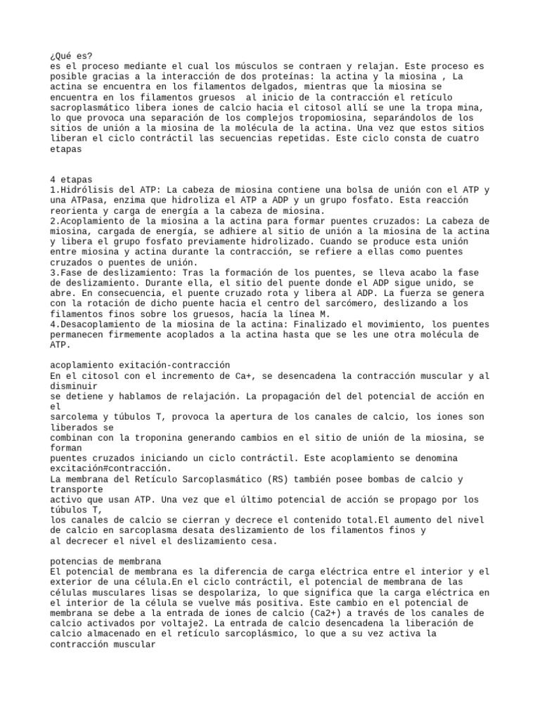 Ciclo Contractil | PDF | Actina | Músculo esquelético