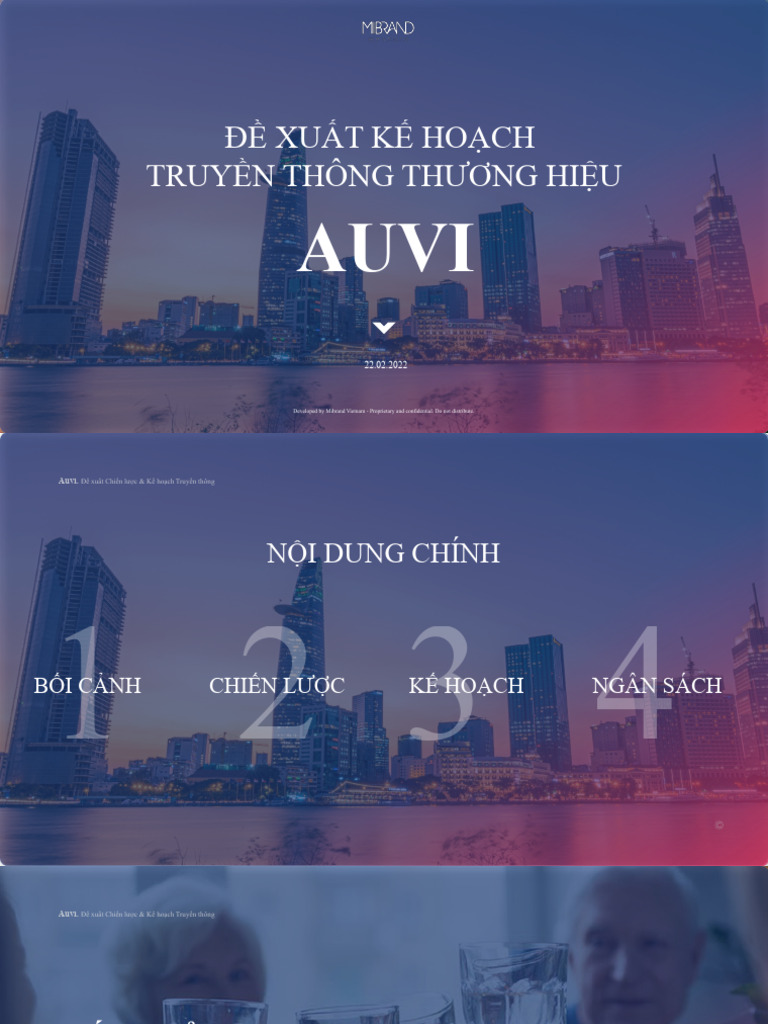 Auvi - MKT Strategy.23022022 | PDF