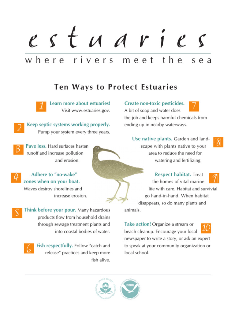 10 Ways To Protect Estuaries | PDF | Estuary | Surface Runoff