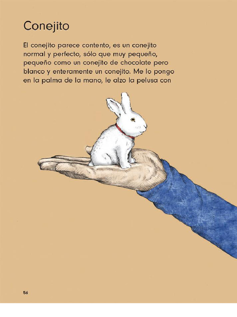 Conejito | PDF