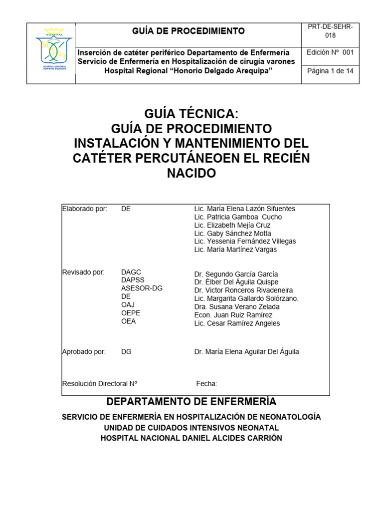 Ejemplo de Estructura para La Elaboracion de Una Guia de Procedimiento de Enfermeria | PDF ...