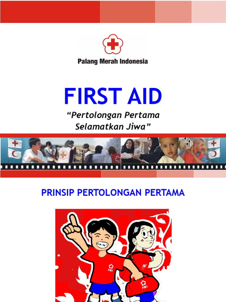 Anatomi Dan Faal | PDF