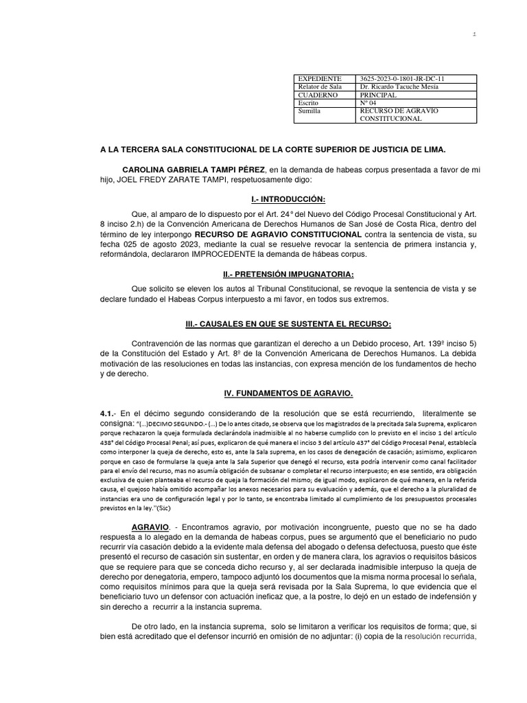 Recurso Agravio Constitucional 10.10.23 | PDF | Sentencia (ley ...