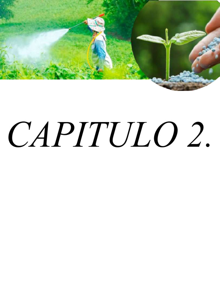 Capitulo 2 Pesticidas.docx_compressed | PDF | Pesticida | Sustancias químicas