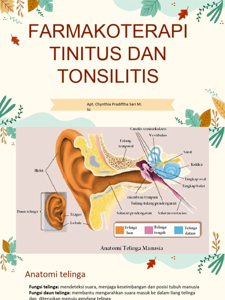 Farmakoterapi Terapi Tinitus Dan Tonsilitis | PDF