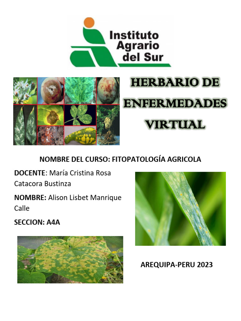 Herbario Enfermedades Virtual | PDF | Ajo | Micotoxinas