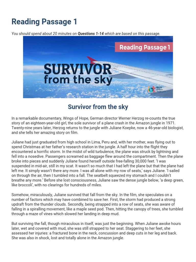 Survivor From The Sky - Reading Passage | PDF