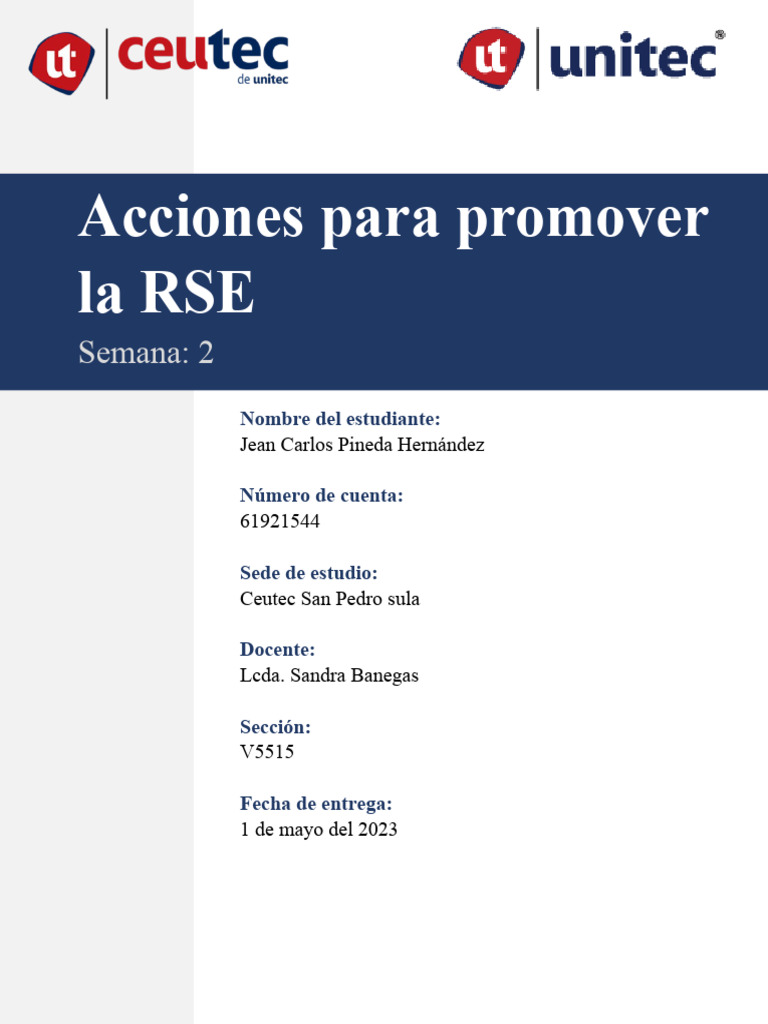 Plan de Acción para Promover RSE | PDF | Responsabilidad social ...