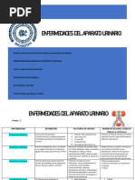 ESCALA DE ARMSTRONG (Todas Las Cat) | PDF