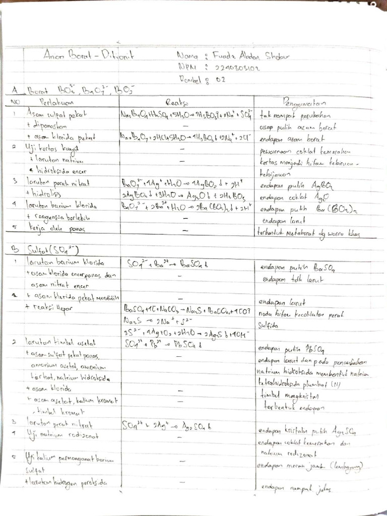 Fuadz Abdan S - Anion Borat-Ditionit | PDF