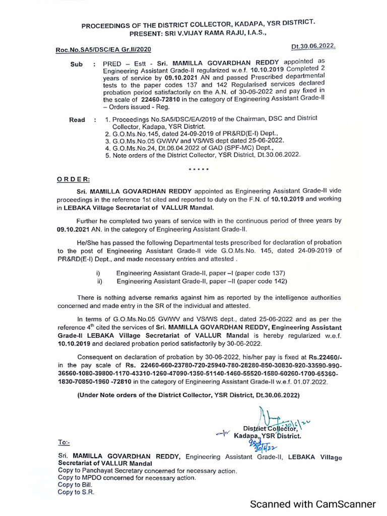 Probation Declaration | PDF