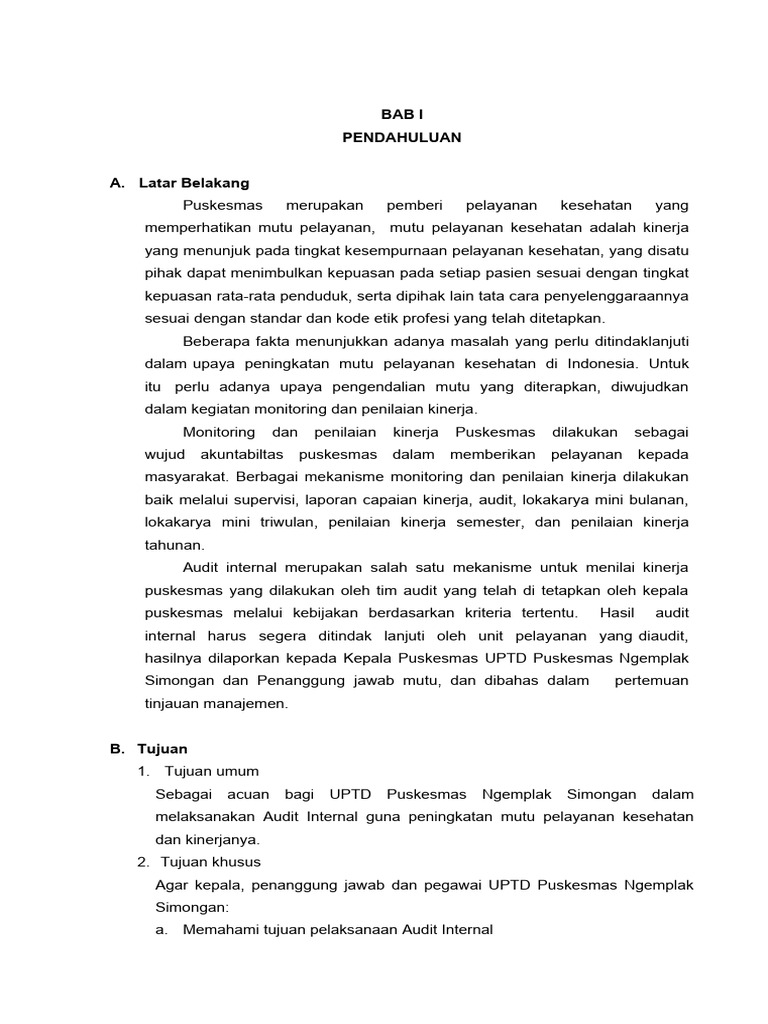 PEDOMAN AUDIT INTERNAL New | PDF