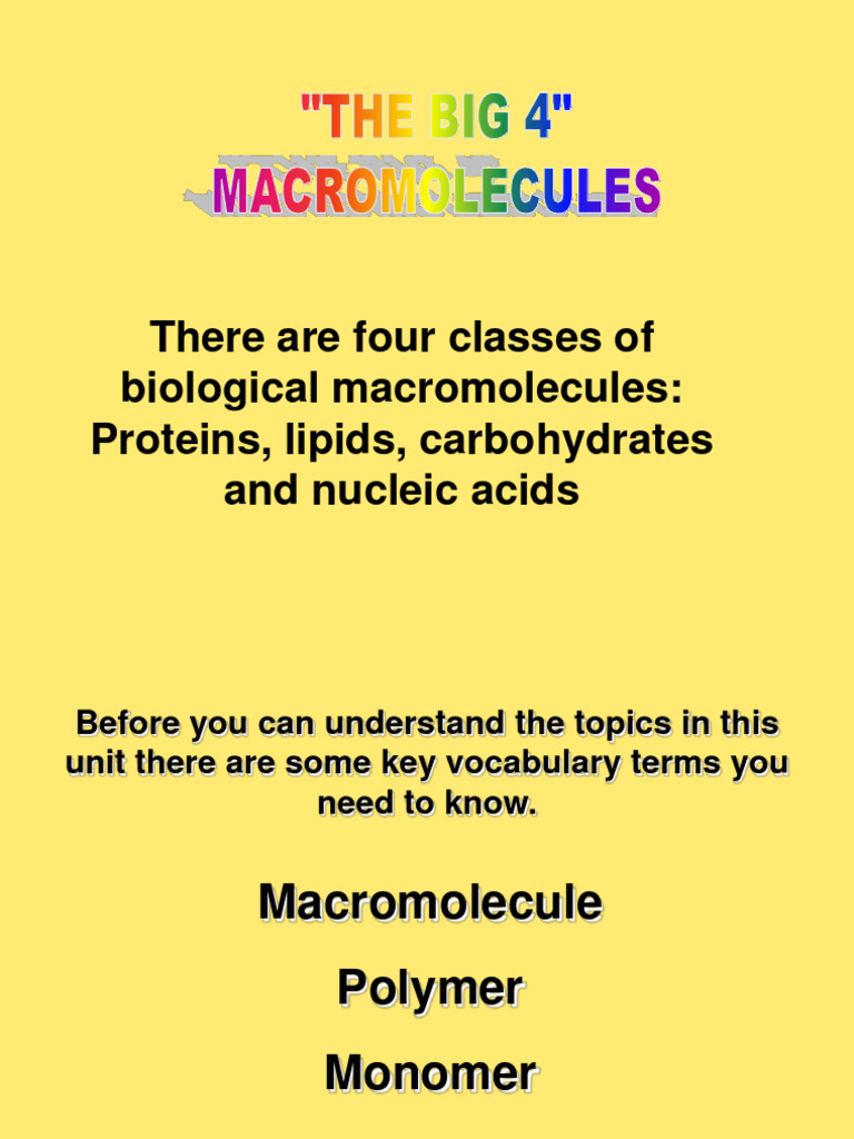 Macromolecules | PDF | Macromolecules | Carbohydrates