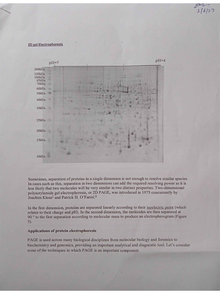 2D Gel Electrophoresis | PDF