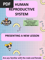 Male and Female Reproductive Systems Worksheet | PDF