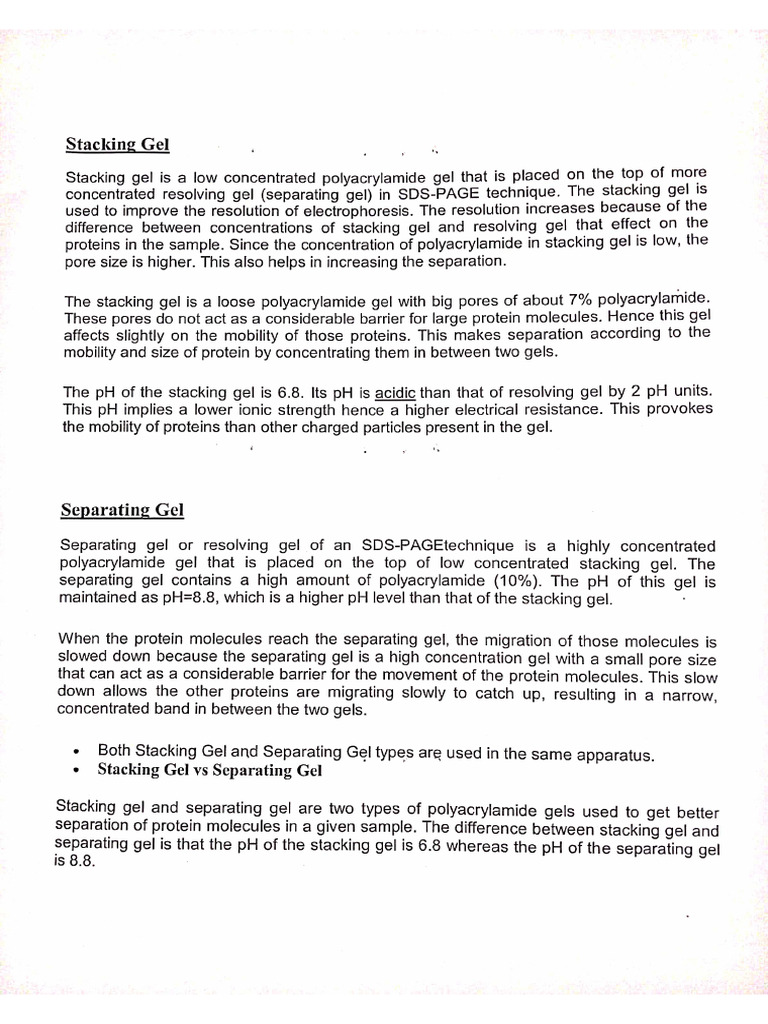 Stacking Gel & Separating Gel | PDF