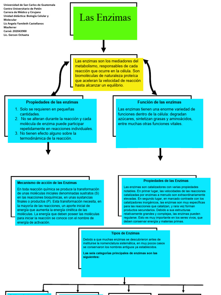Mapa Conceptual Enzimas | PDF | Enzima | Inhibidor de la enzima