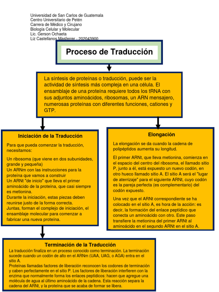 Traduccion Pdf Traducción Biología Procesos Celulares