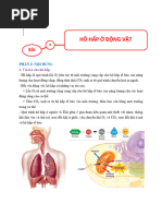 PHẦN II CÂU HỎI ĐÚNG SAI DINH DƯỠNG TIÊU HÓA Ở ĐỘNG VẬT-1724230083 | PDF