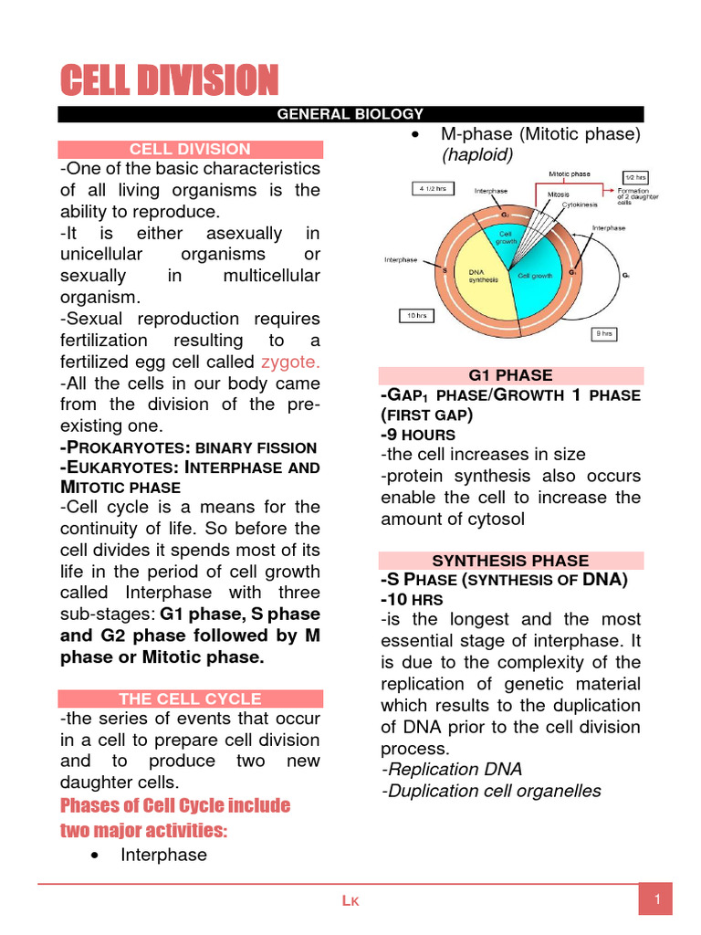 Cell Division | PDF | Cell Cycle | Mitosis
