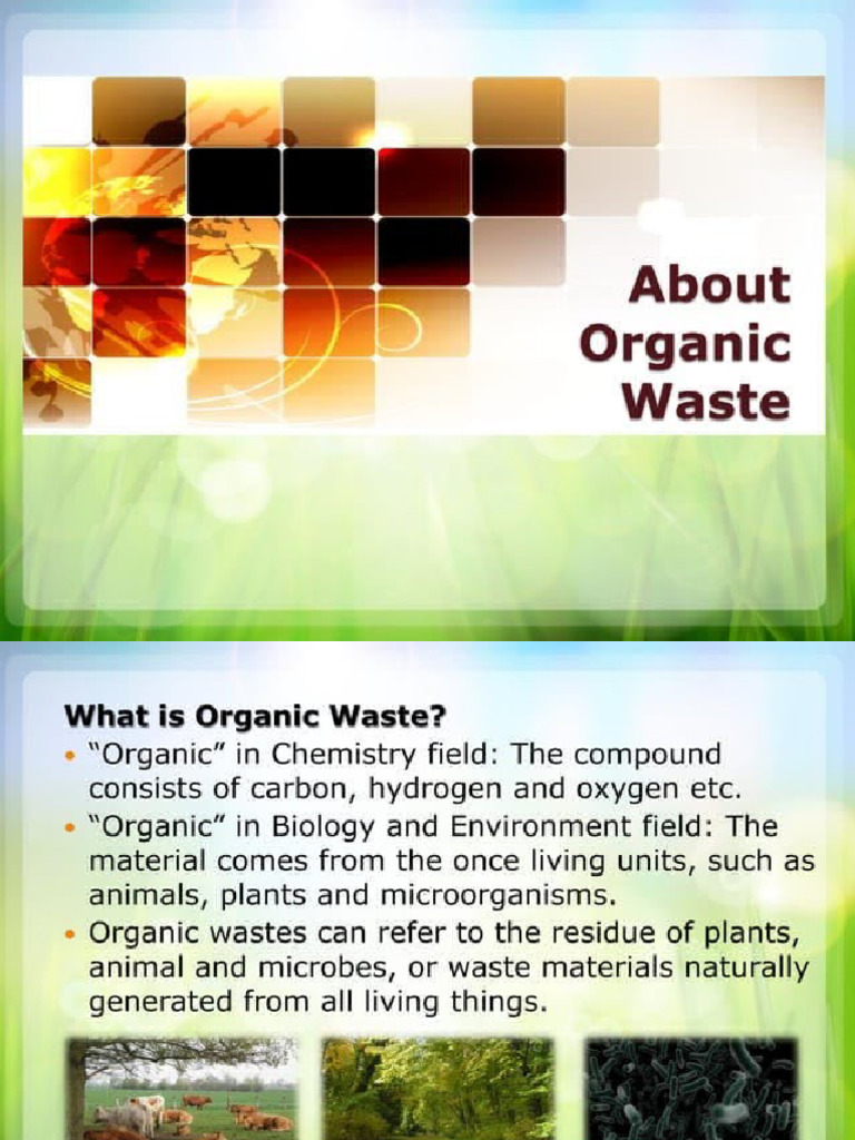 Organic and Inorganic Waste | PDF