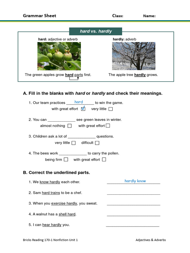 Bricks Reading 170 Nonfiction - L1 - Grammar Sheet | PDF | Clause | Verb