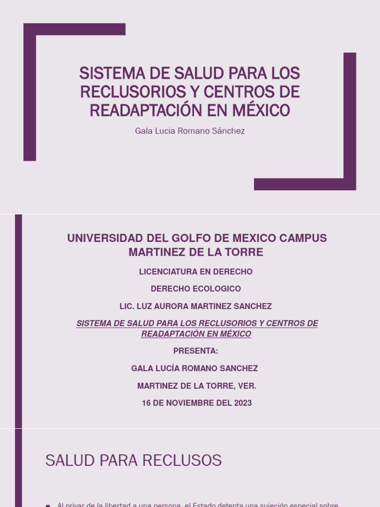 Unidad 2 - Act2 - Gala - Romano | PDF | Prisión | Justicia