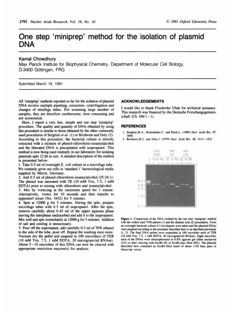 1991-One Step 'Miniprep' Method For The Isolation of Plasmid | PDF ...