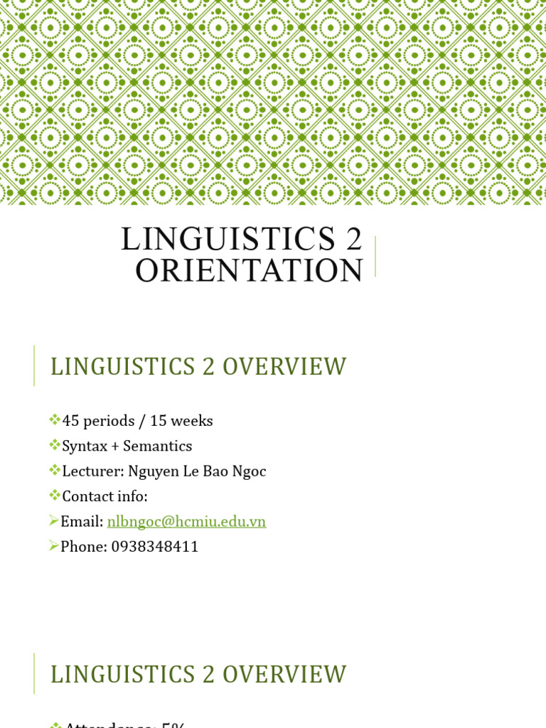 Syntax Overview | PDF | Syntax | Linguistics