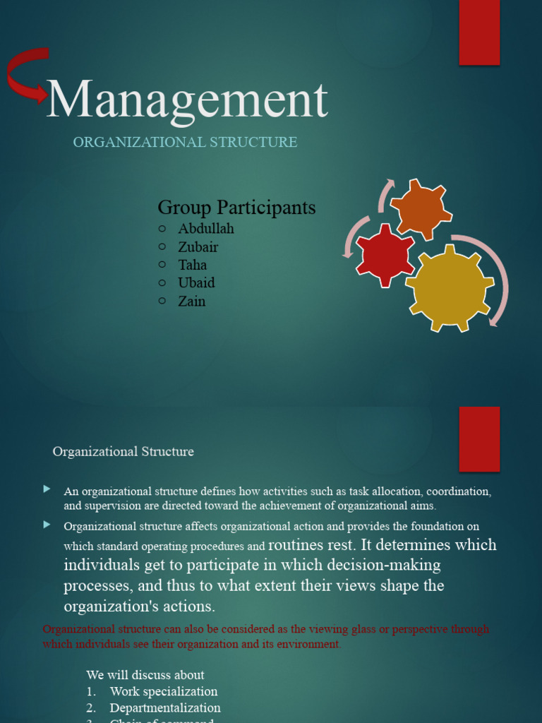 Managemet Structure | PDF | Organizational Structure | Decision Making