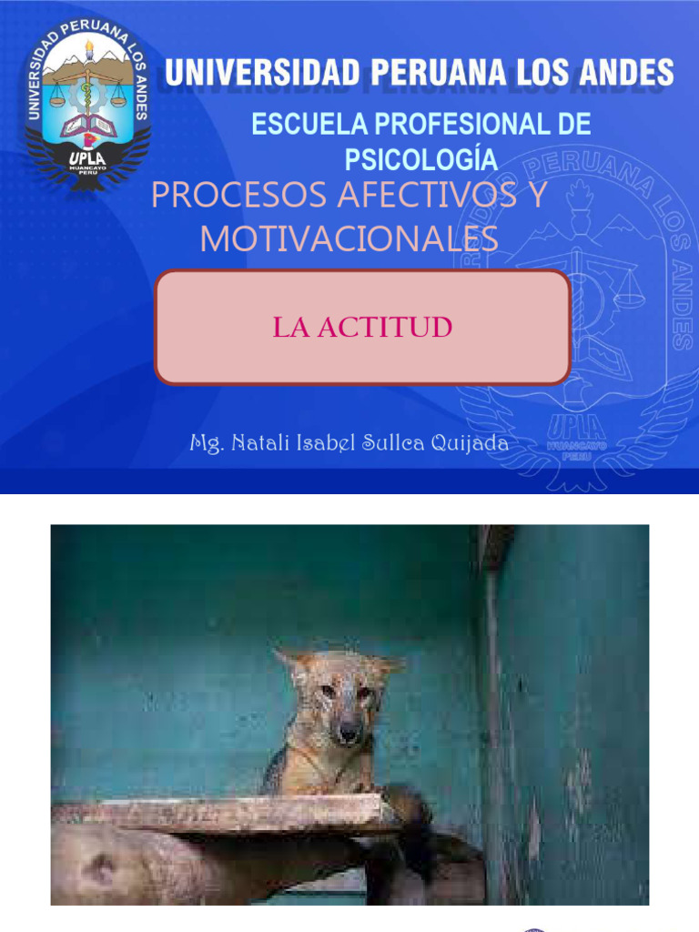 La Actitud | PDF | Actitud (psicología) | Experiencia