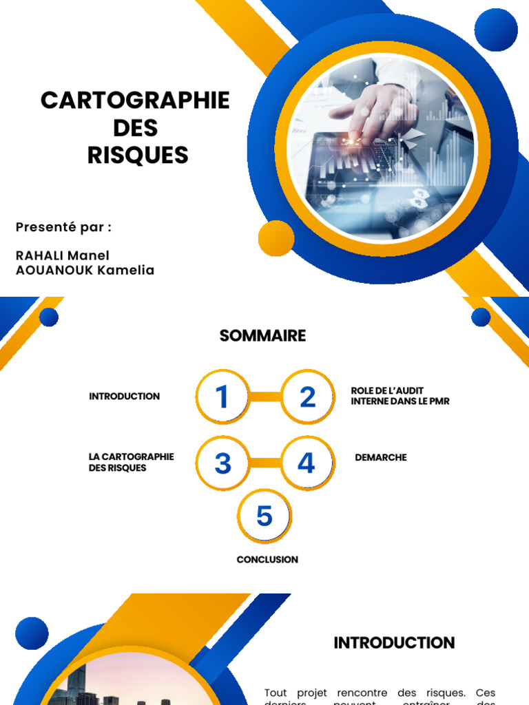 Cartographie Des Risques | PDF | Risque | Gestion des risques