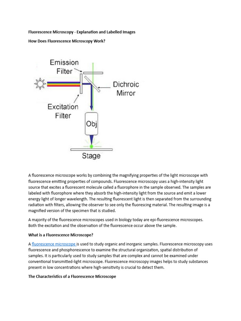Fluorescence Micros | PDF | Fluorescence Microscope | Microscopy