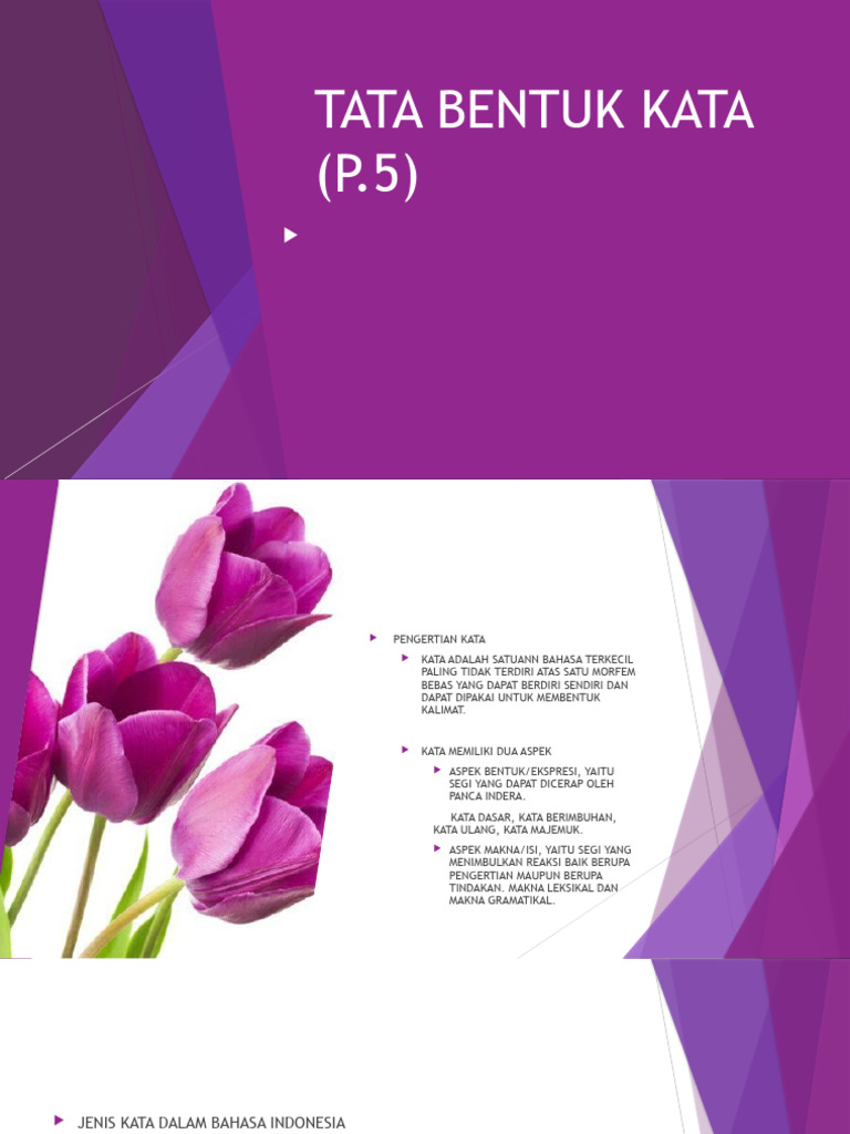 Tata Bentuk Kata (P.5) | PDF