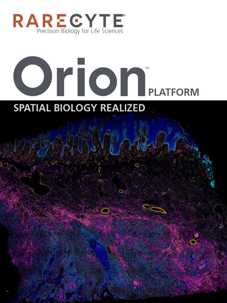 BR21 101 220803 Orion | PDF | Immunohistochemistry | Biotechnology