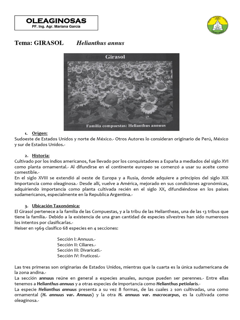 Girasol 1 Pdf Flores Fruta