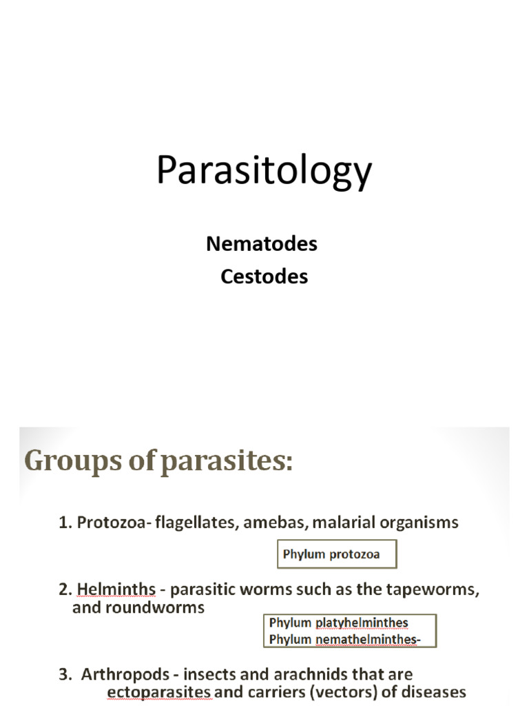 LACTURE 4 Nematodes and Cestodes | PDF | Nematode