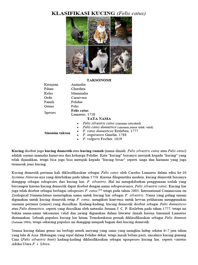 KLASIFIKASI KUCING | PDF