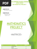 Maths Project | PDF | Trigonometric Functions | Function (Mathematics)