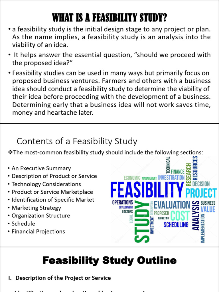 Feasibility Study | PDF | Feasibility Study | Market (Economics)