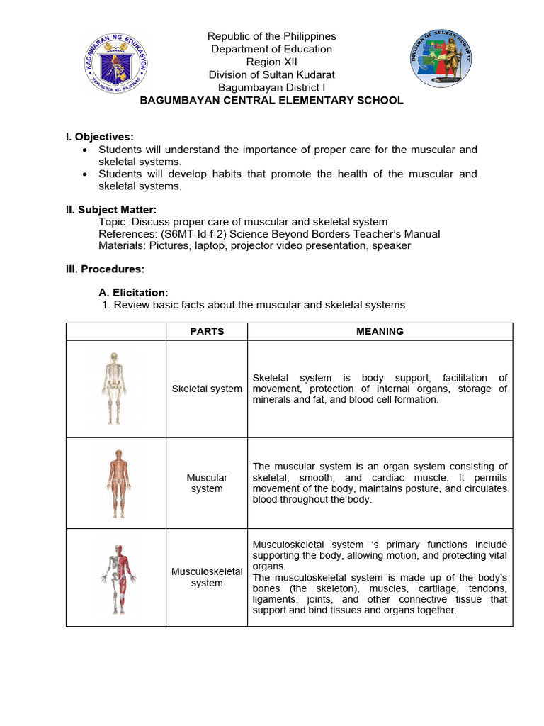Lesson Plan 1 | PDF | Human Musculoskeletal System | Musculoskeletal System