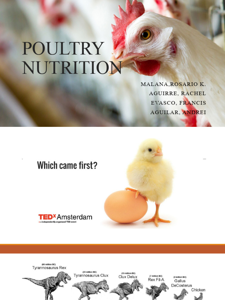 Poultry Nutrition | PDF | Amino Acid | Vitamin