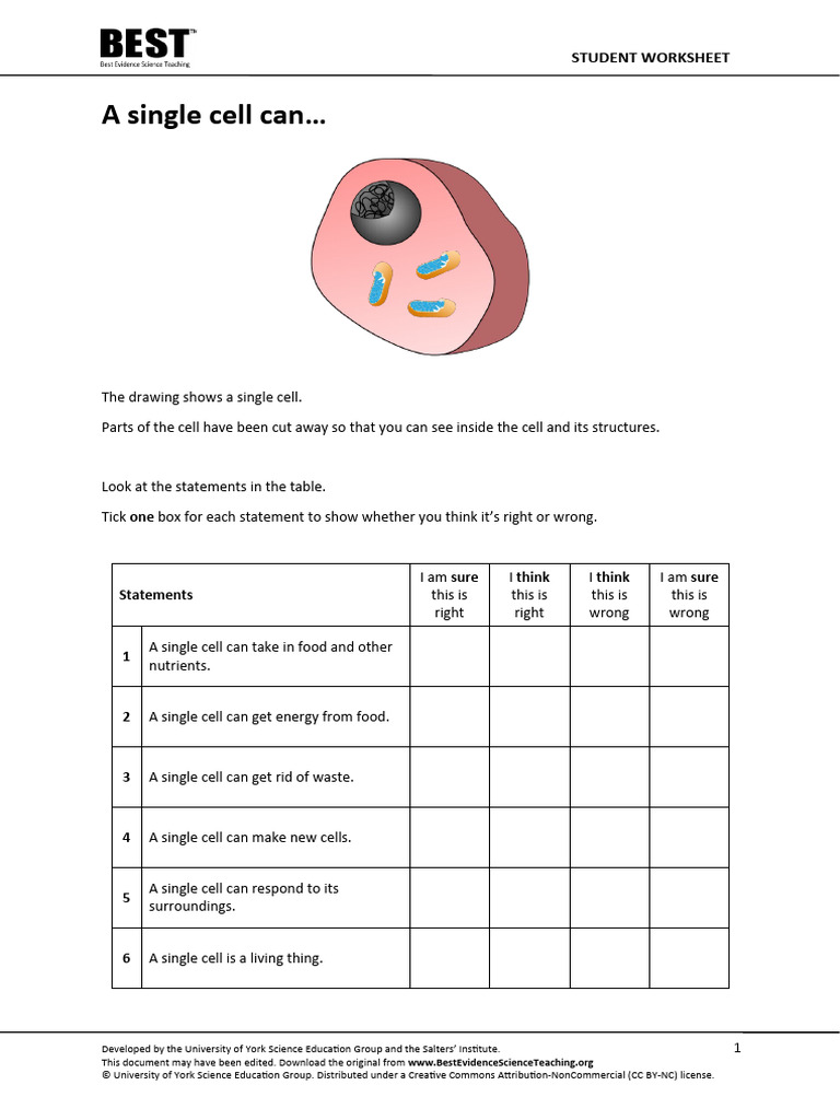 Understanding Single Cell Functions | PDF | Cell (Biology) | Creative ...