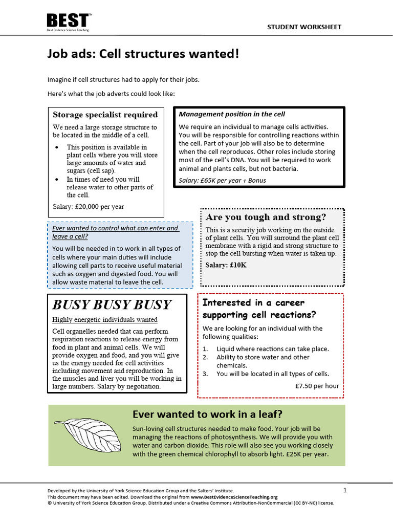 Job Ads for Cell Structures | PDF | Cell (Biology) | Photosynthesis