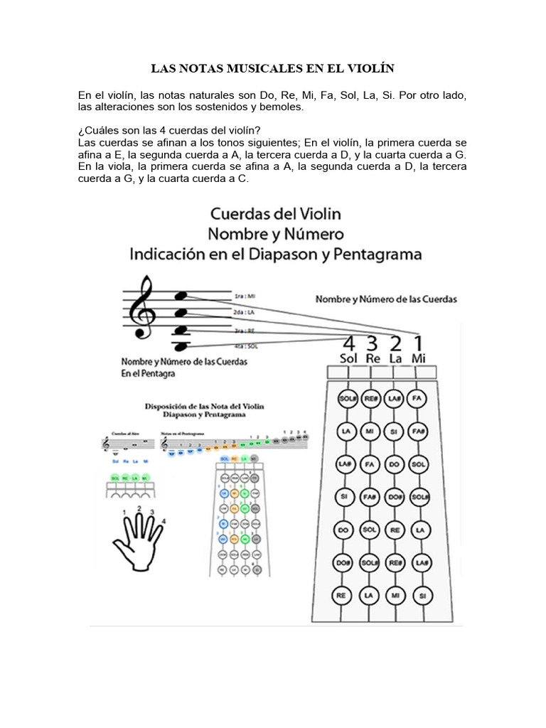 Notas y Cuerdas del Violín | PDF | Arte