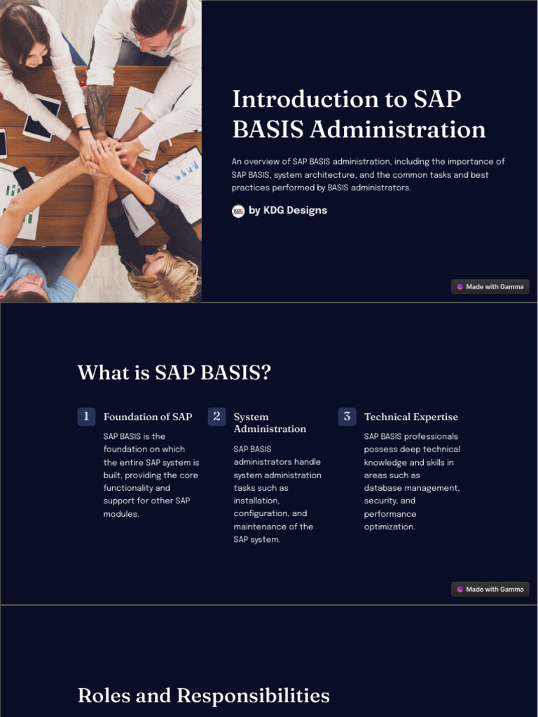 Introduction To SAP BASIS Administration | PDF | Computer Security ...