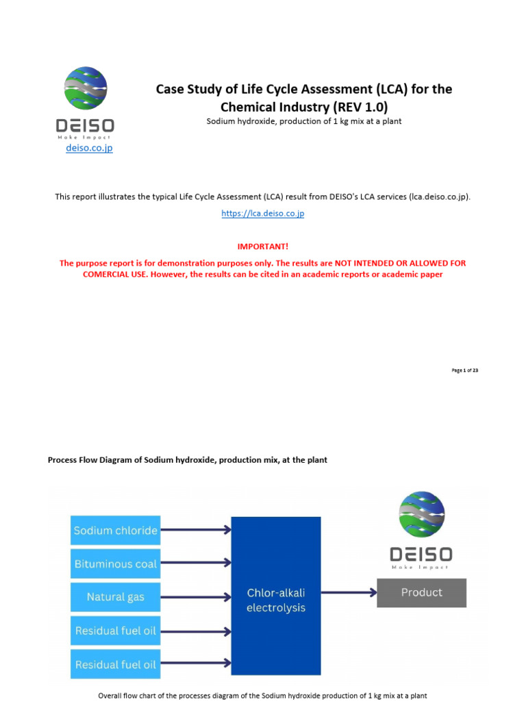 Sodium Hydroxide Production Case Study DEISO | PDF | Sodium Hydroxide | Hydroxide